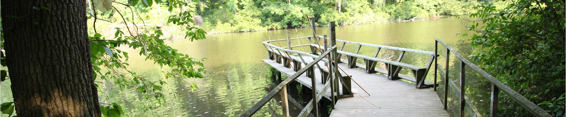 About Us | YMCA Camp Red Feather | YMCA of South Hampton Roads